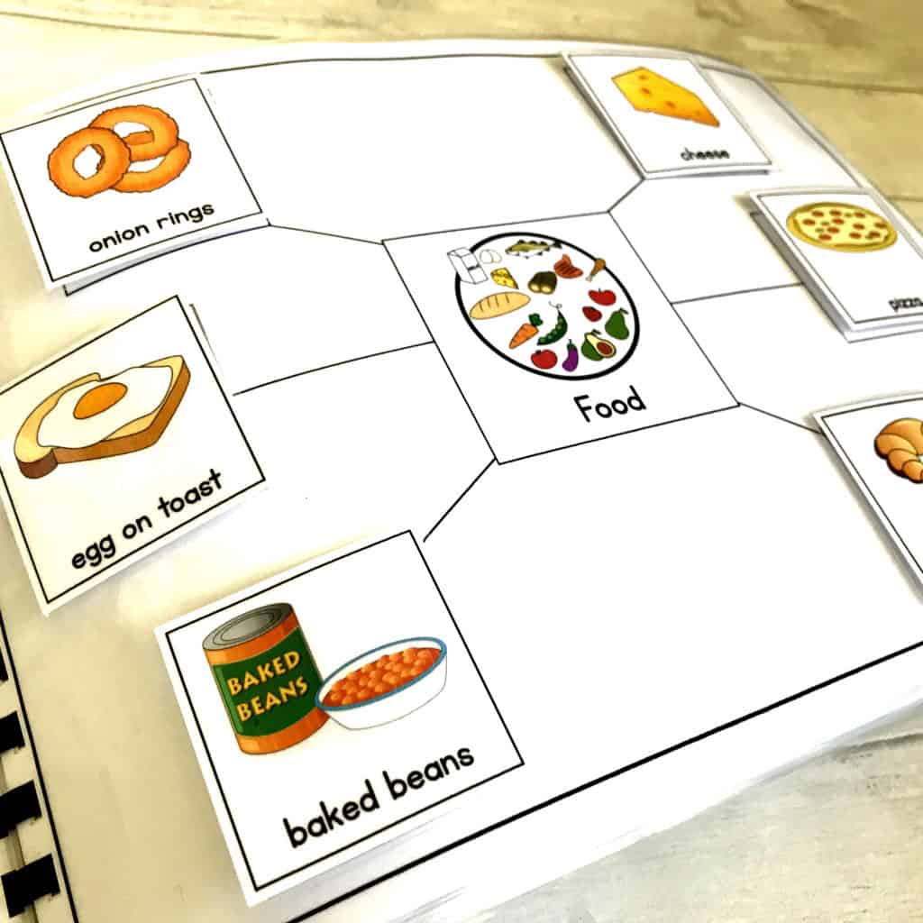 Category Sorting Book, Autism Adapted Book - Teaching Autism