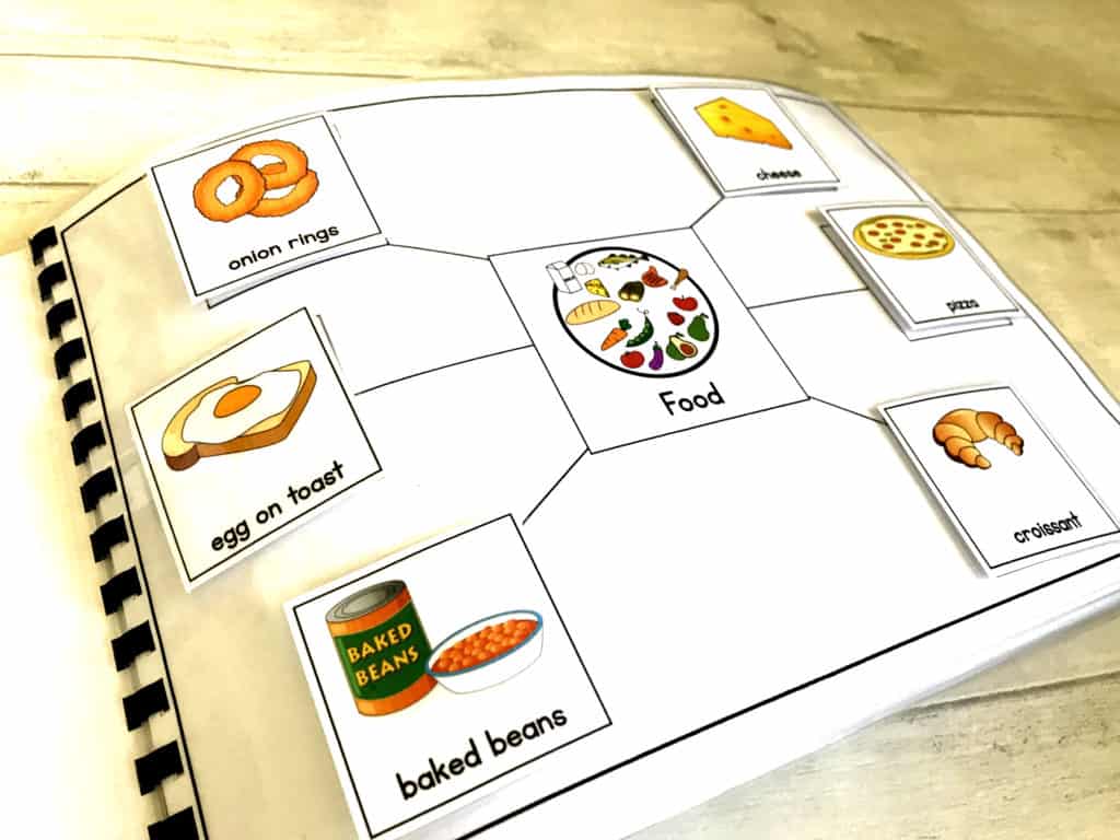 Category Sorting Book, Autism Adapted Book - Teaching Autism