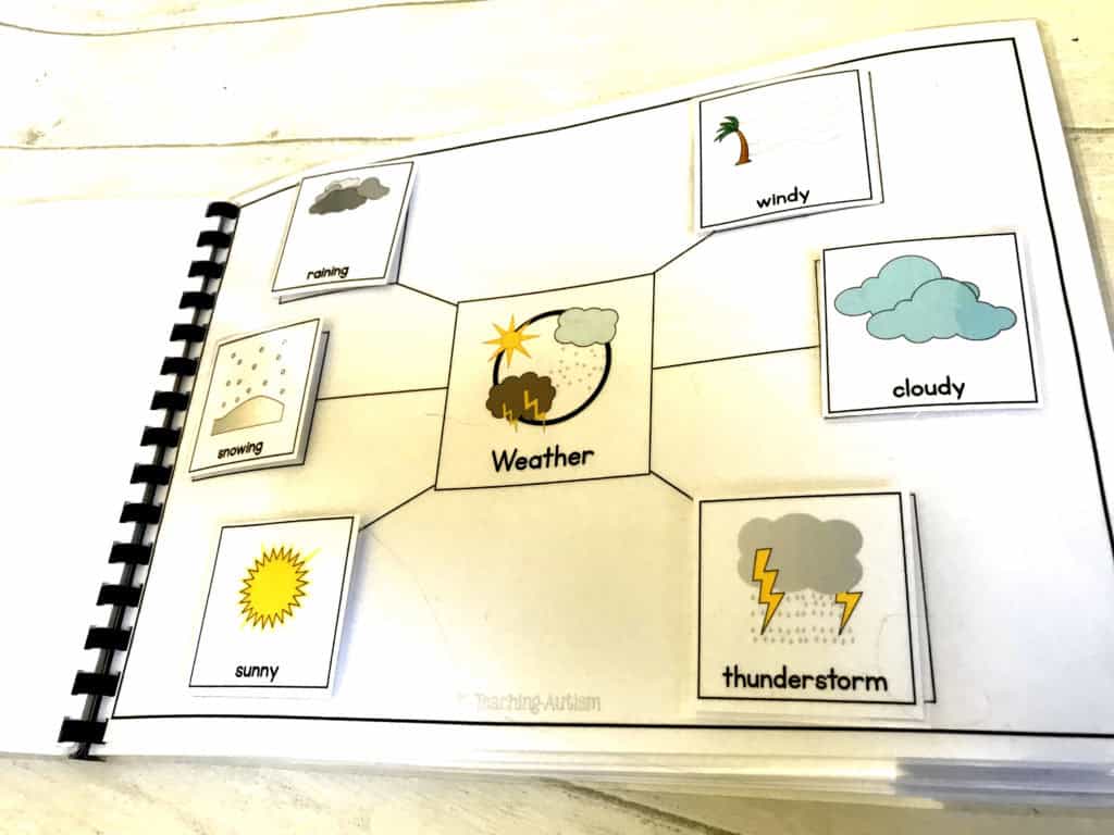 Category Sorting Book, Autism Adapted Book - Teaching Autism
