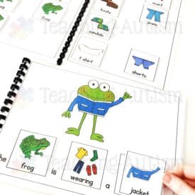 Adapted Books for Autism Frog Theme - Teaching Autism