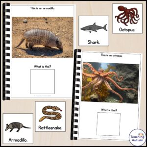 How to Make Adapted Books - Teaching Autism