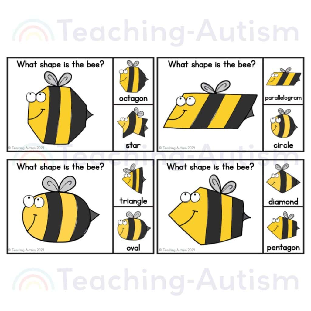 Bee 2D Shape Matching Task Box - Teaching Autism