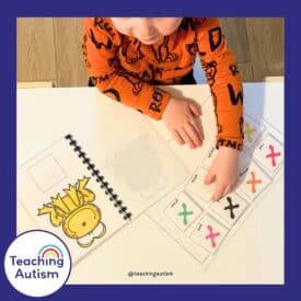 Frog Adapted Books for Special Education - Teaching Autism