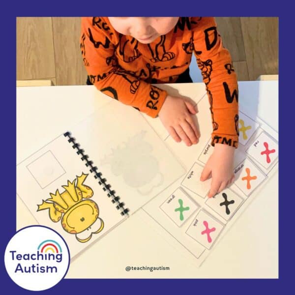 Frog Adapted Books for Special Education - Teaching Autism