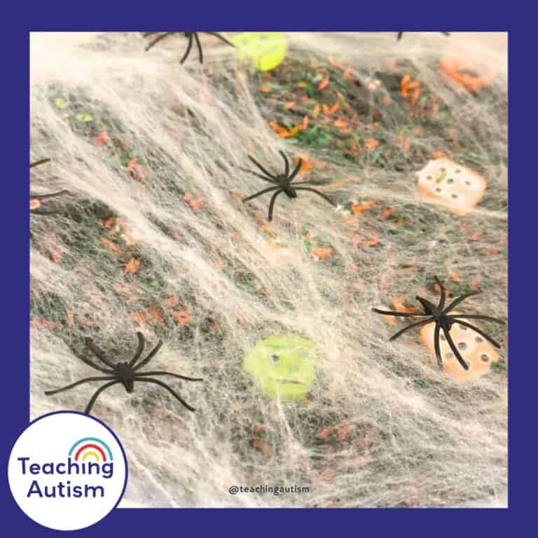 Halloween Spider Sensory Bin for Kids - Teaching Autism