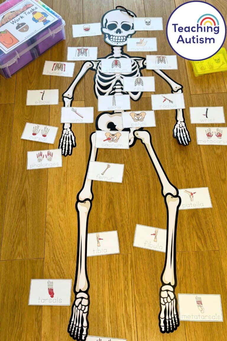 Free Label the Skeleton Bones Activity - Teaching Autism