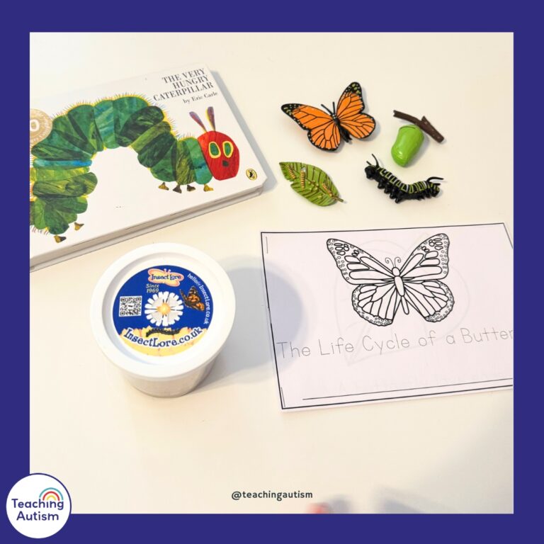 Free Butterfly Life Cycle Emergent Reader - Teaching Autism
